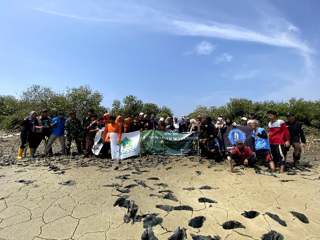 KMPP Yogyakarta Tanam 500 Bibit mangrovea di Pesisir Pantai Tunjungrejo ...