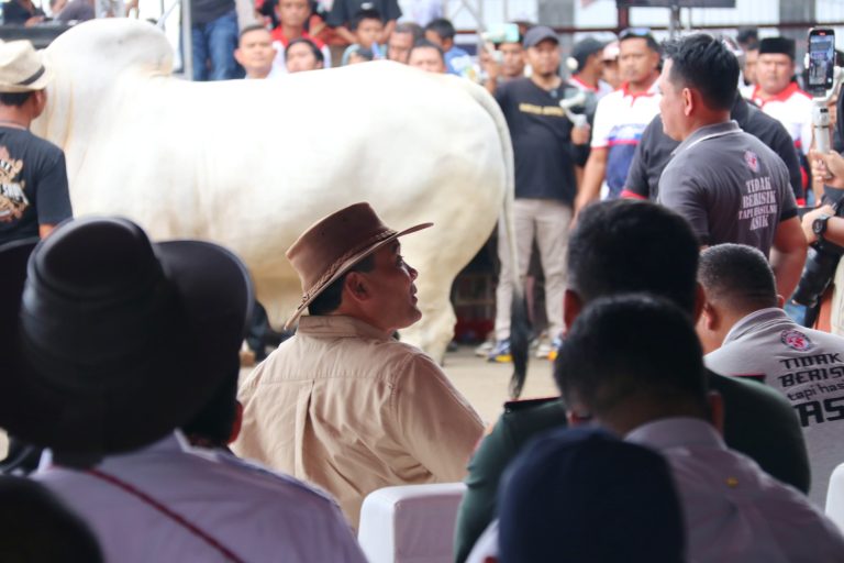 Kontes dan Expo Sapi Boyolali, Penanda Jateng Lumbung Ternak Nasional ...